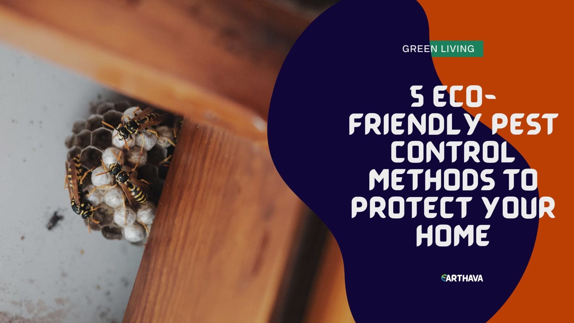 5 Eco-Friendly Pest Control Methods to Protect Your Home - Earthava