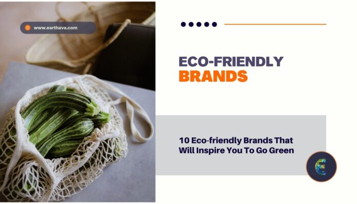 10 Eco-friendly Brands That Will Inspire You To Go Green - Earthava