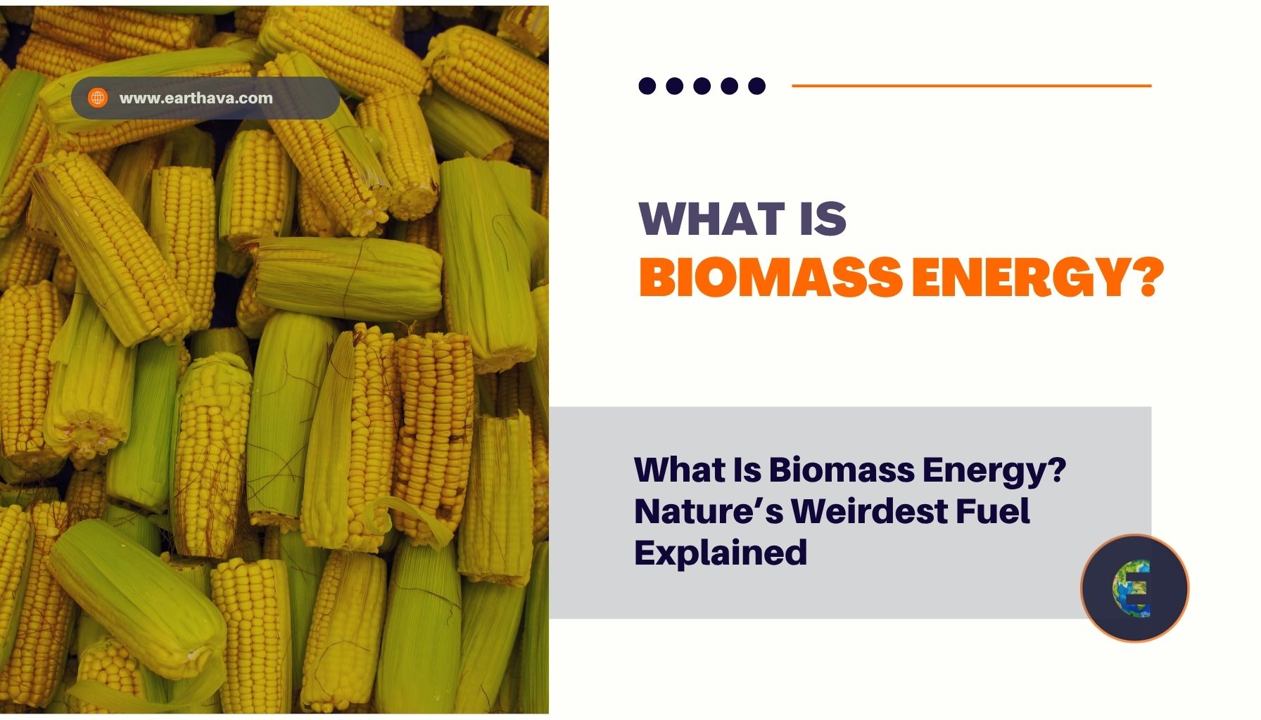 What Is Biomass Energy? Nature’s Weirdest Fuel Explained - Earthava