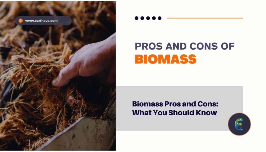 Biomass Pros and Cons: What You Should Know - Earthava