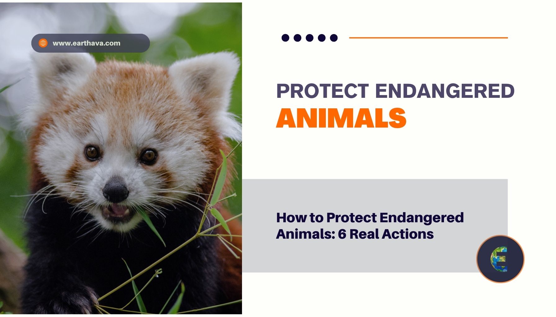 How to Protect Endangered Animals: 6 Real Actions - Earthava