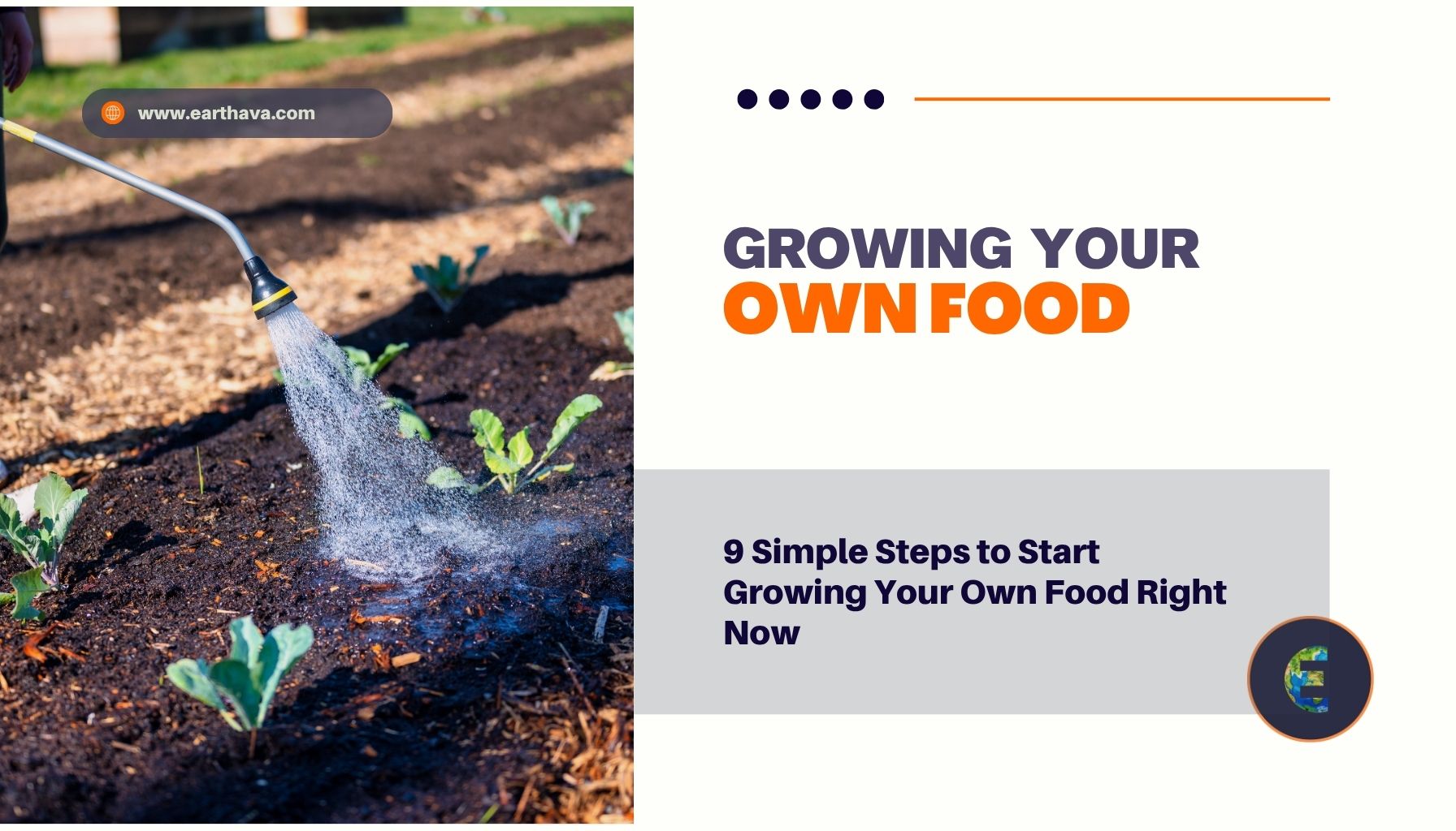 9 Simple Steps to Start Growing Your Own Food Right Now - Earthava