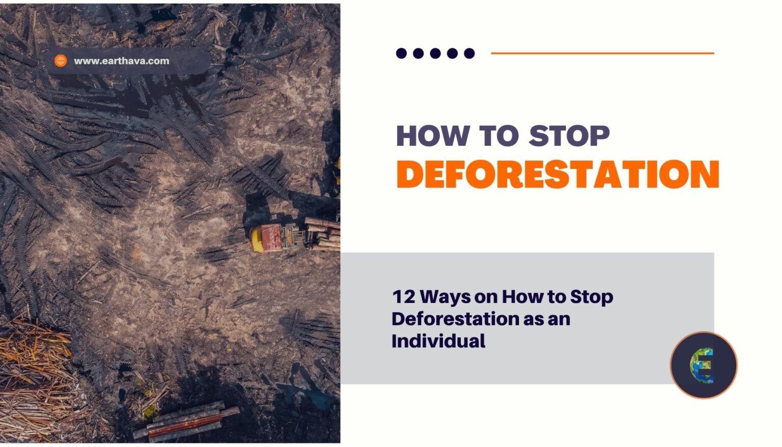 12 Ways on How to Stop Deforestation as an Individual - Earthava