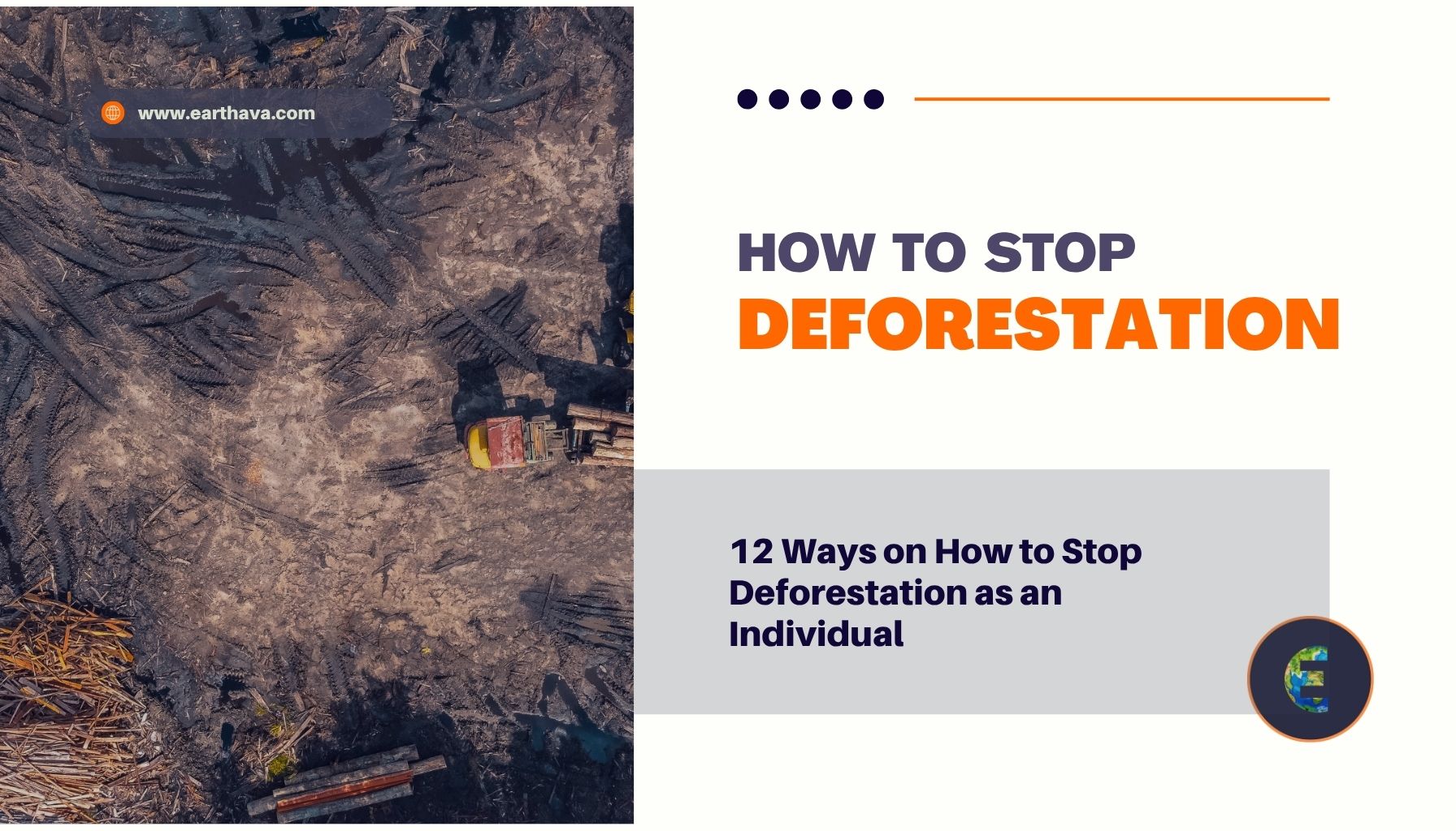 12 Ways on How to Stop Deforestation as an Individual - Earthava