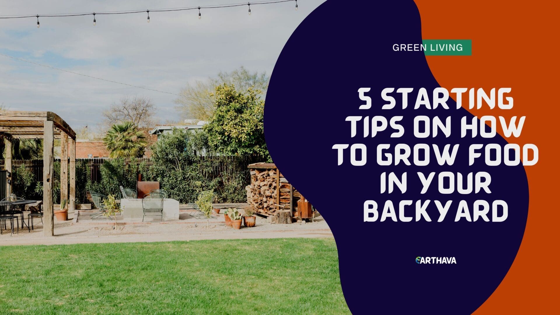 5 Starting Tips On How To Grow Food In Your Backyard - Earthava