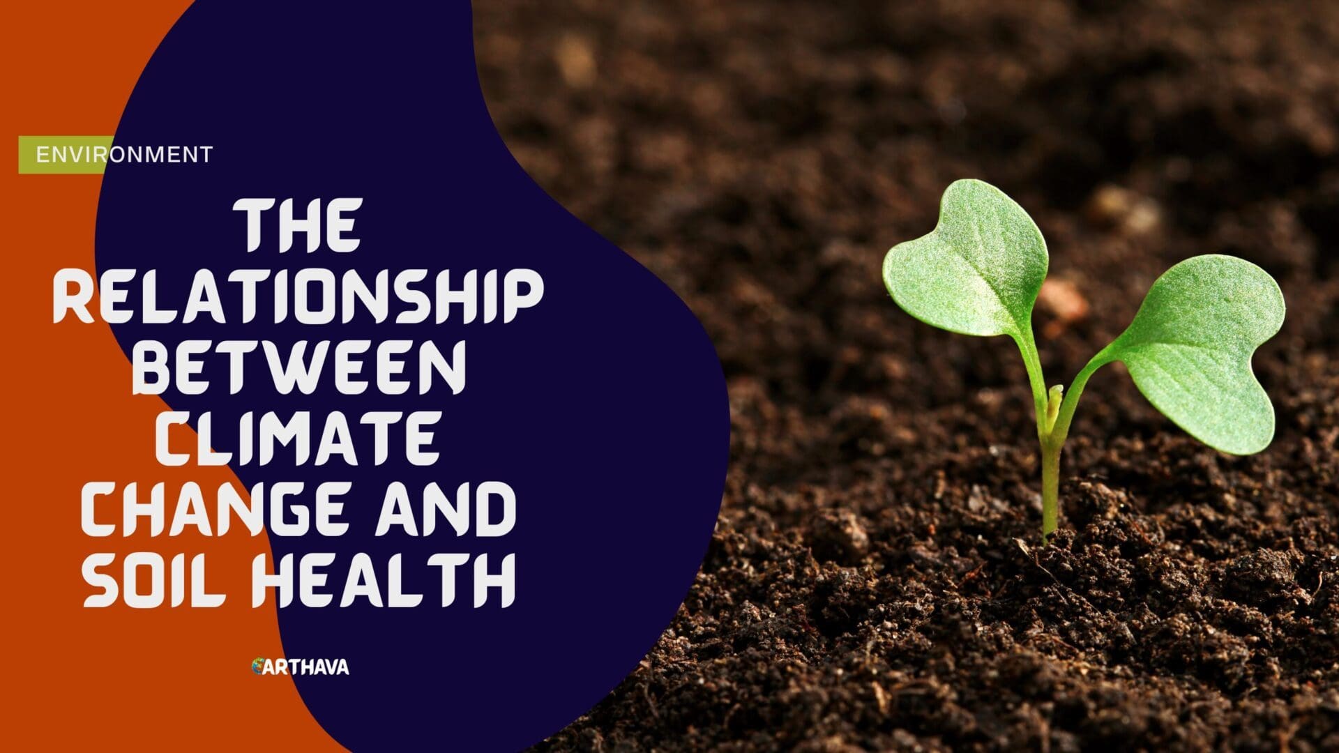 The Relationship Between Climate Change and Soil Health - Earthava