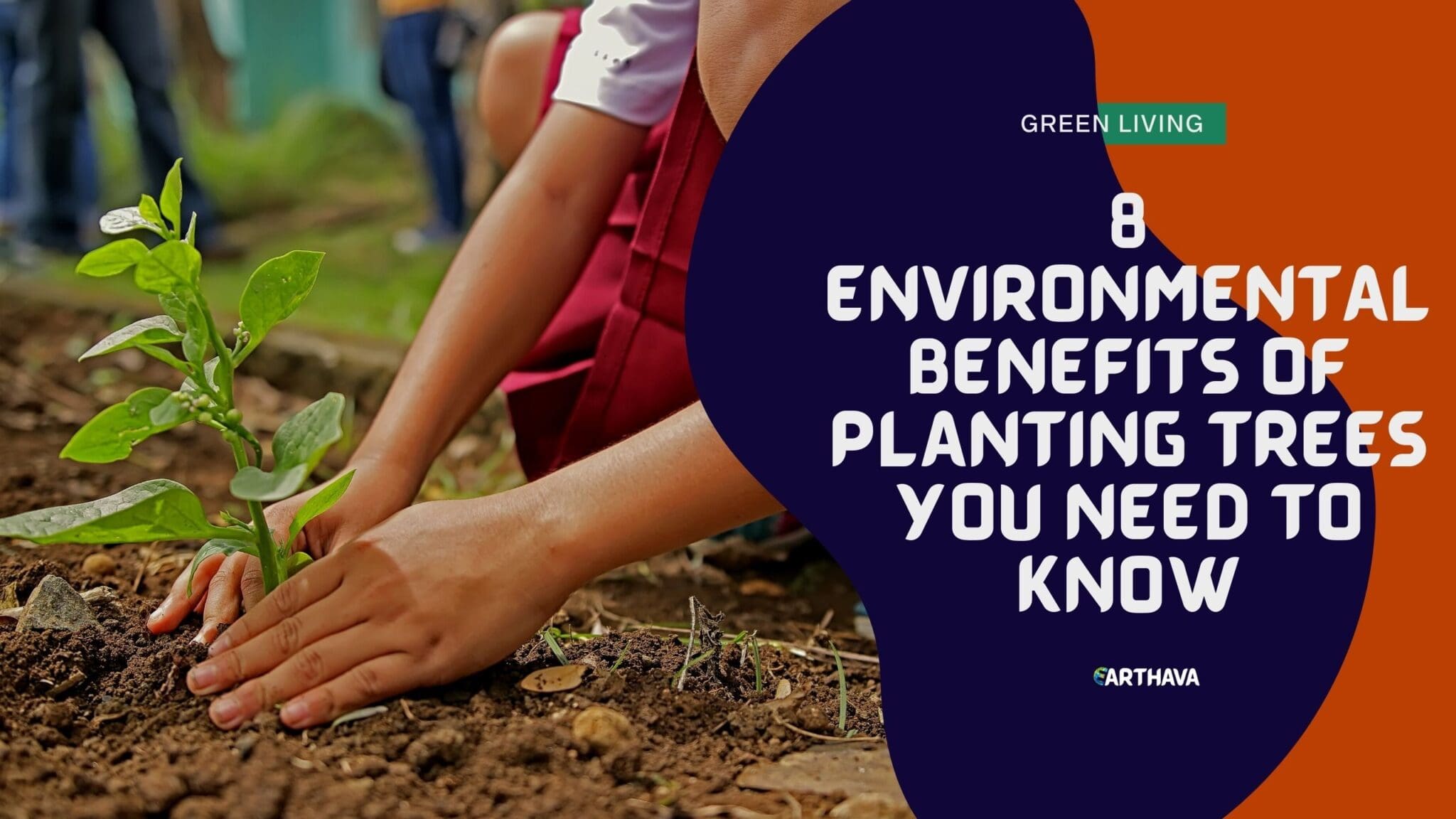 8 Environmental Benefits of Planting Trees You Need to Know - Earthava