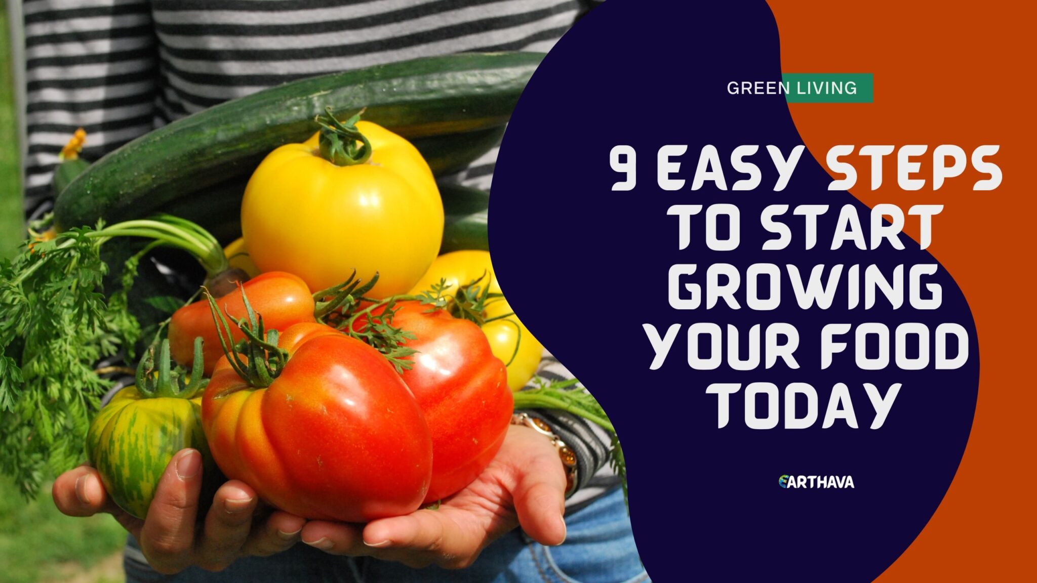 9 Simple Steps to Start Growing Your Own Food Right Now - Earthava