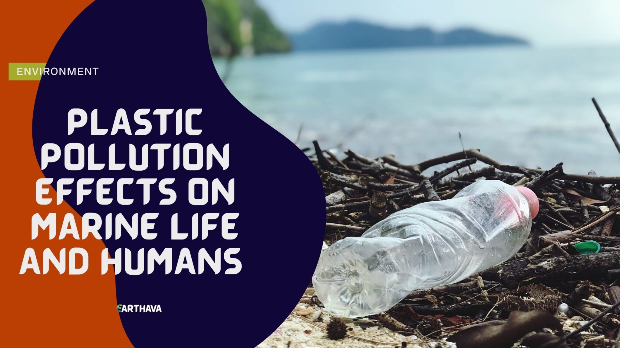 Plastic Pollution Effects on Marine Life and Humans - Earthava