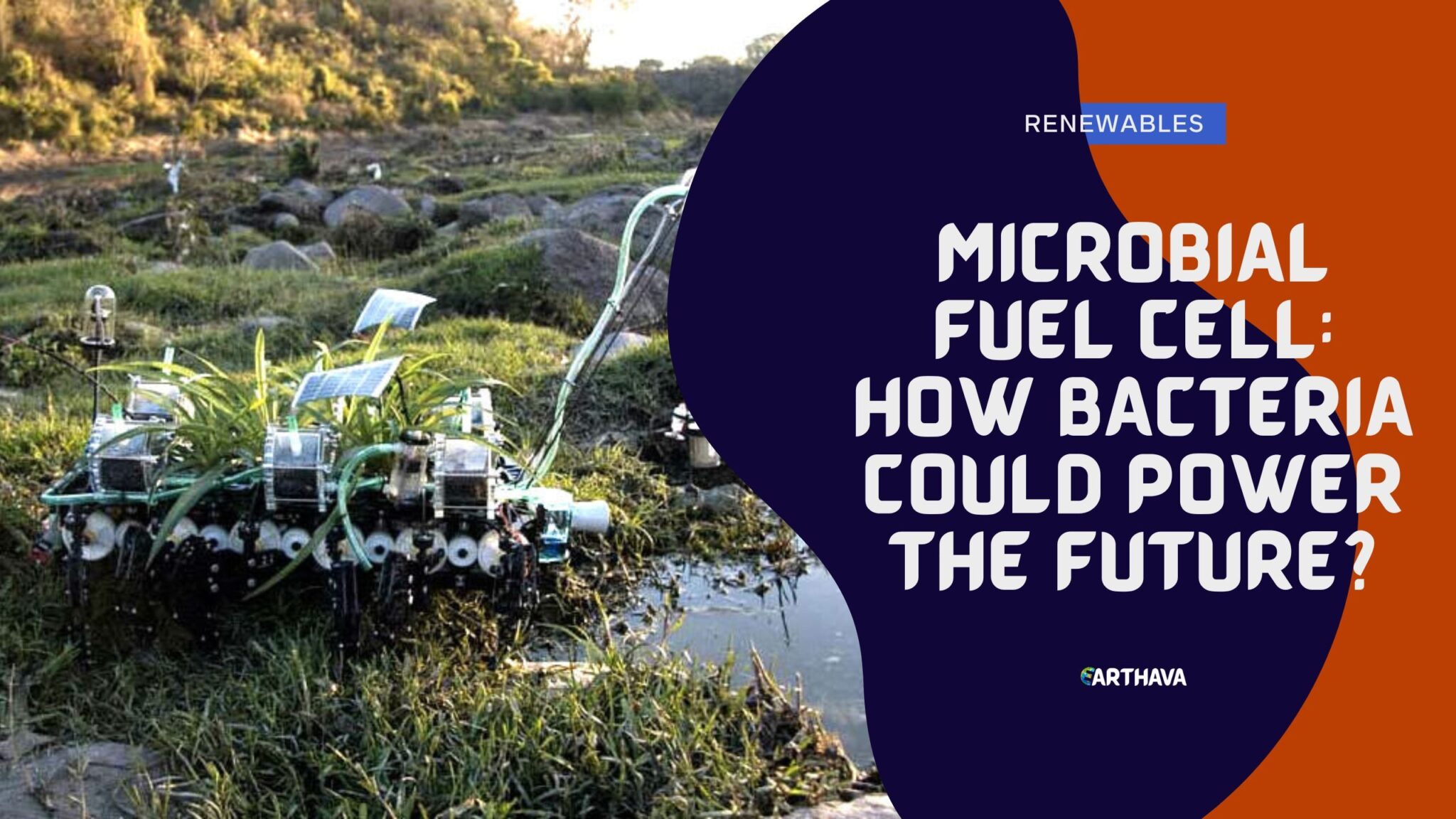 Microbial fuel cell: How Bacteria Could Power the Future? - Earthava