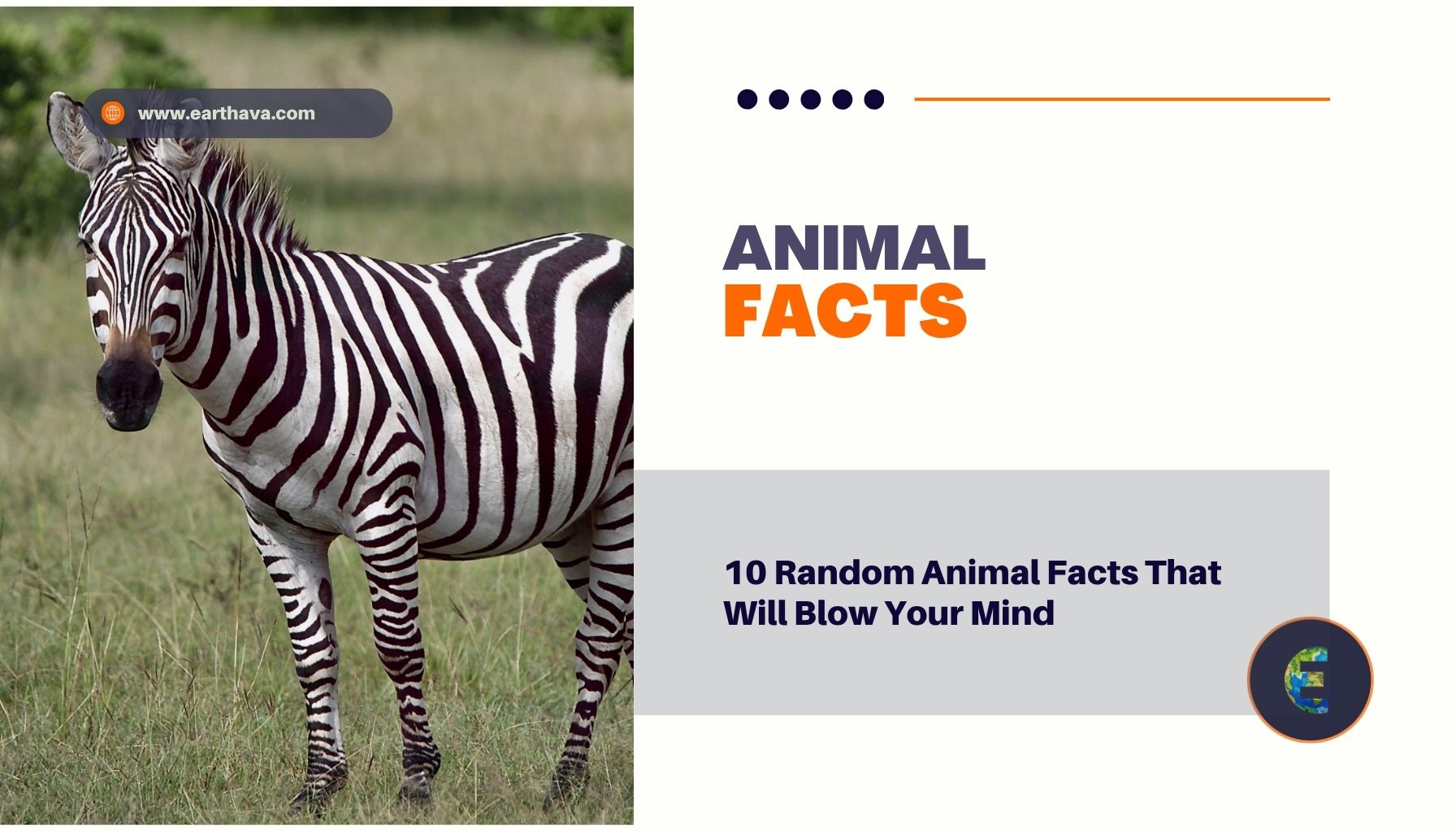 10 Random Animal Facts That Will Blow Your Mind - Earthava