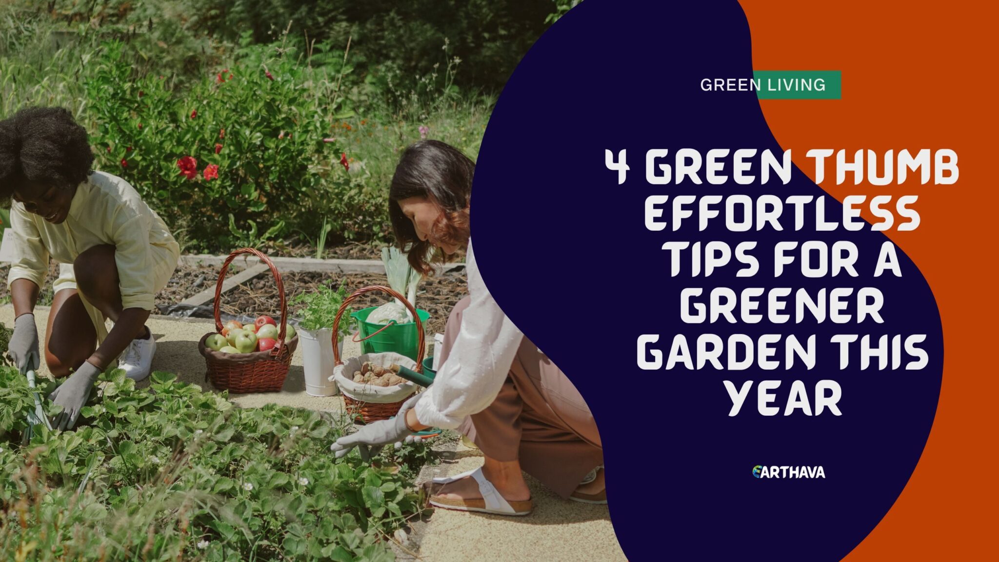 4 Green Thumb Effortless Tips for a Greener Garden this Year - Earthava