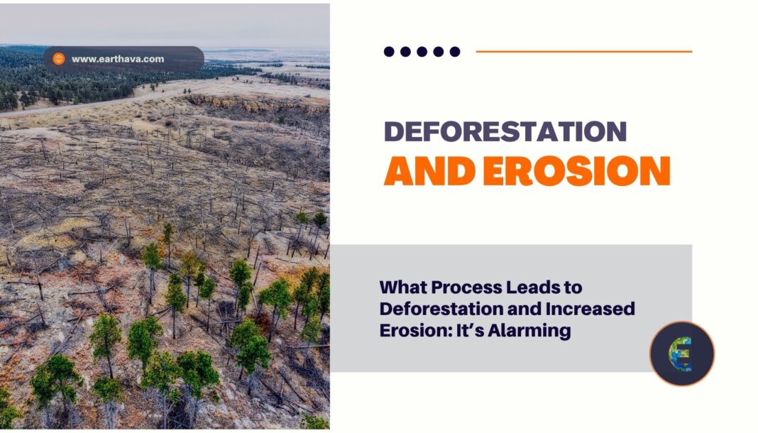 What Process Leads to Deforestation and Increased Erosion? - Earthava
