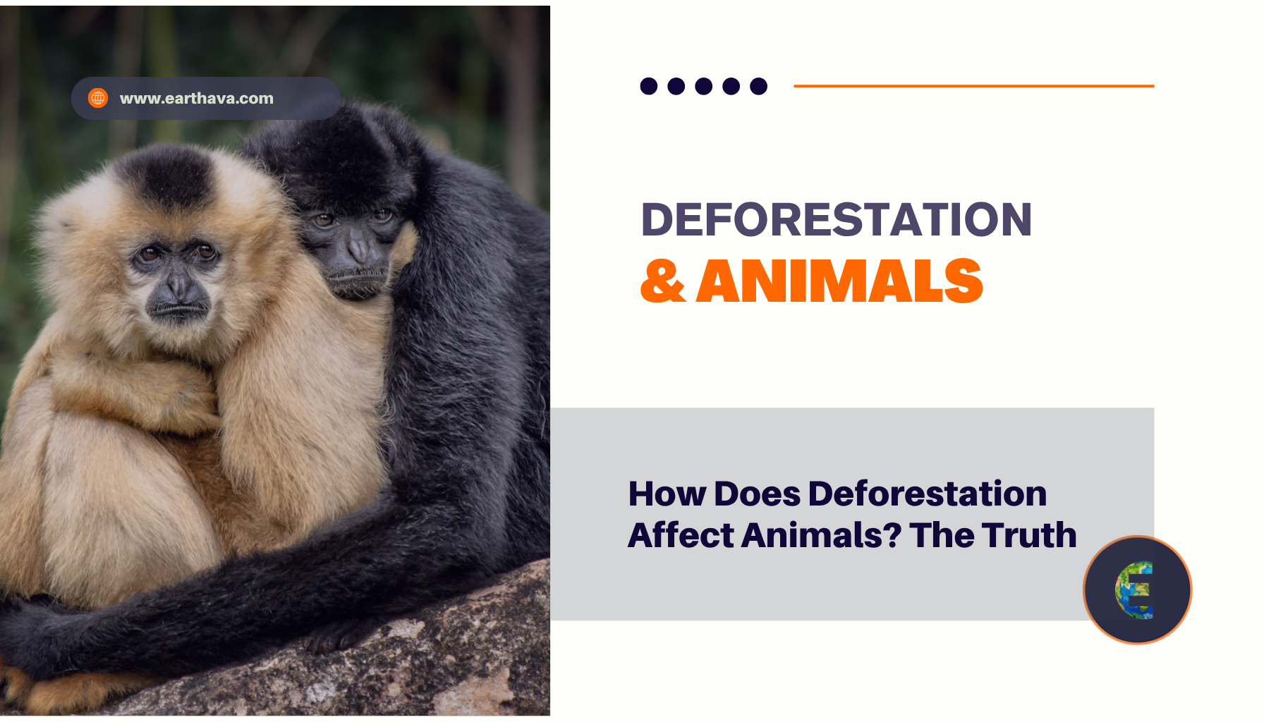 How Does Deforestation Affect Animals? The Truth - Earthava