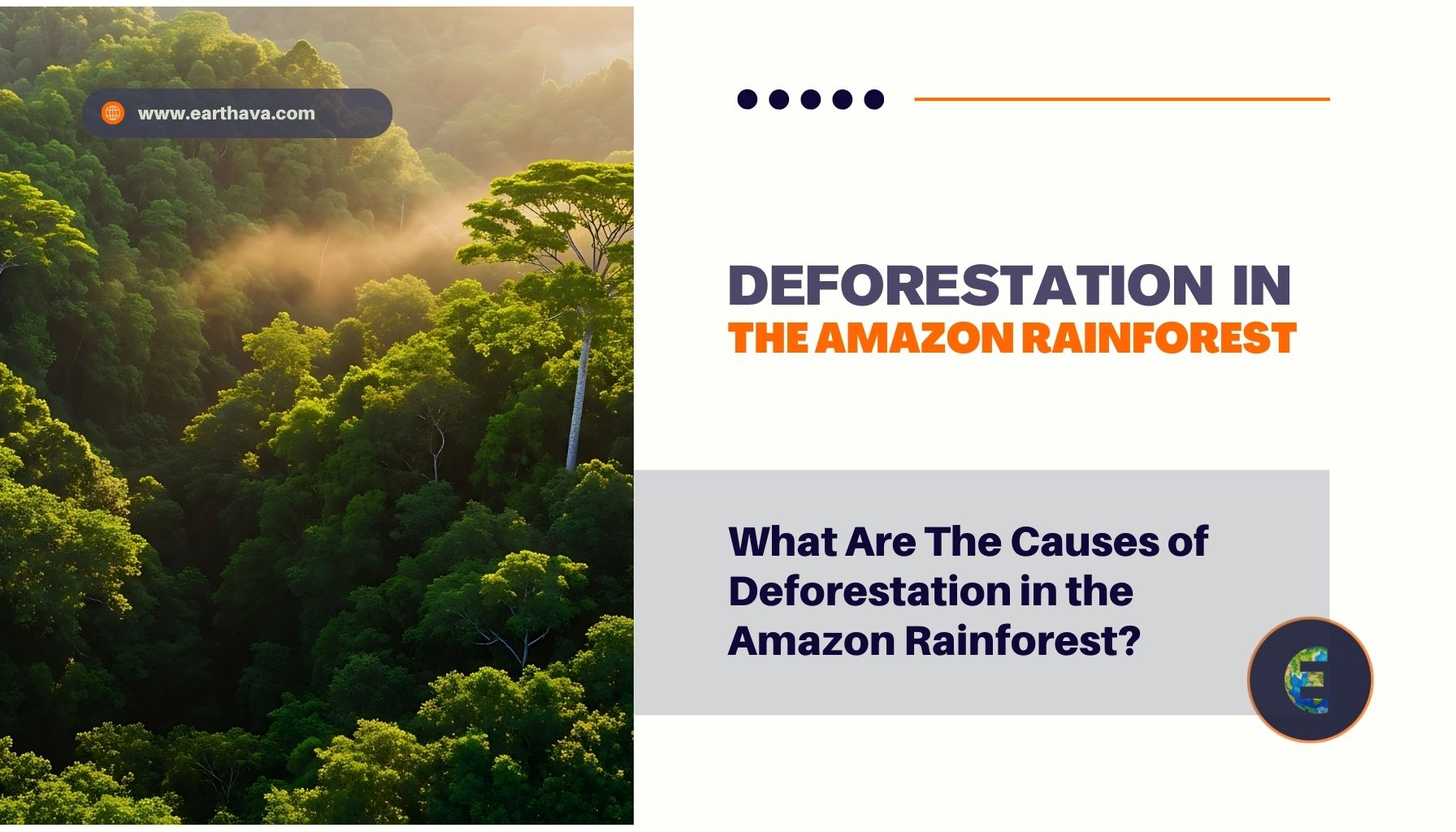 What Are The Causes of Deforestation in the Amazon Rainforest? - Earthava