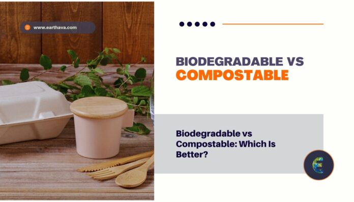 Biodegradable vs Compostable: Which Is Better? - Earthava