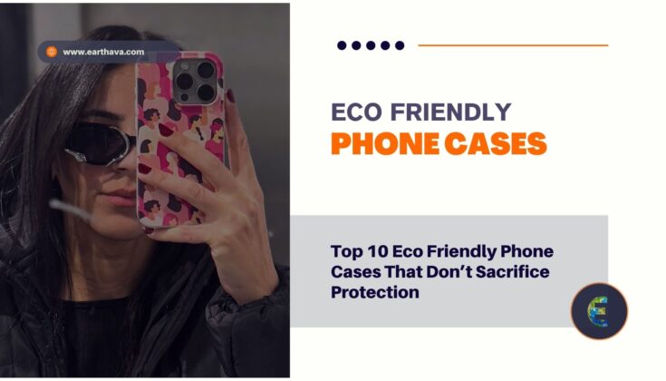 Top 10 Biodegradable Phone Cases That Don’t Sacrifice Protection - Earthava