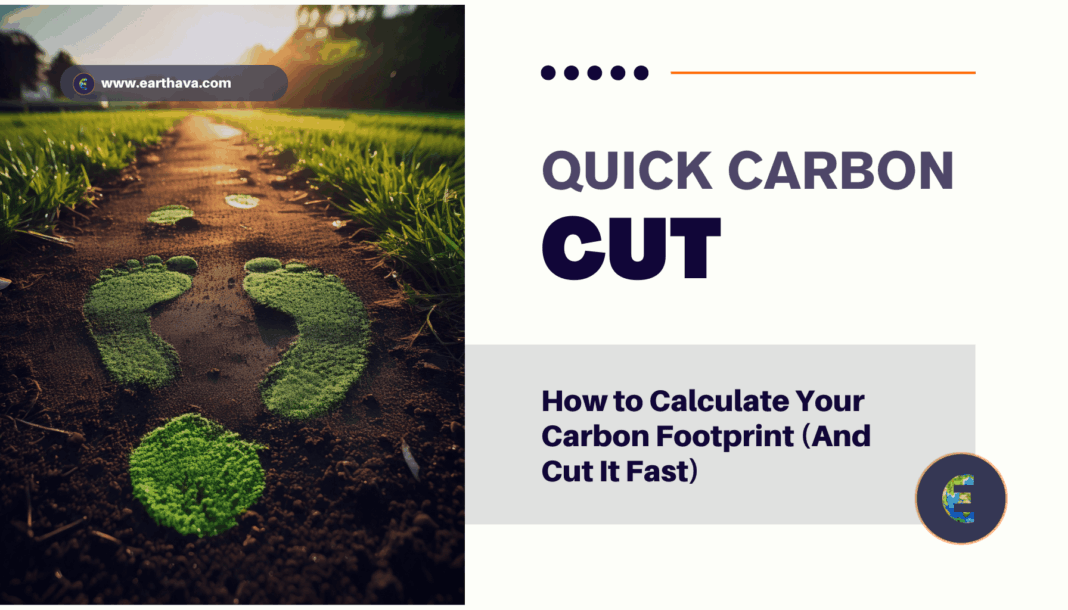 How to Calculate Your Carbon Footprint (And Cut It Fast) - Earthava