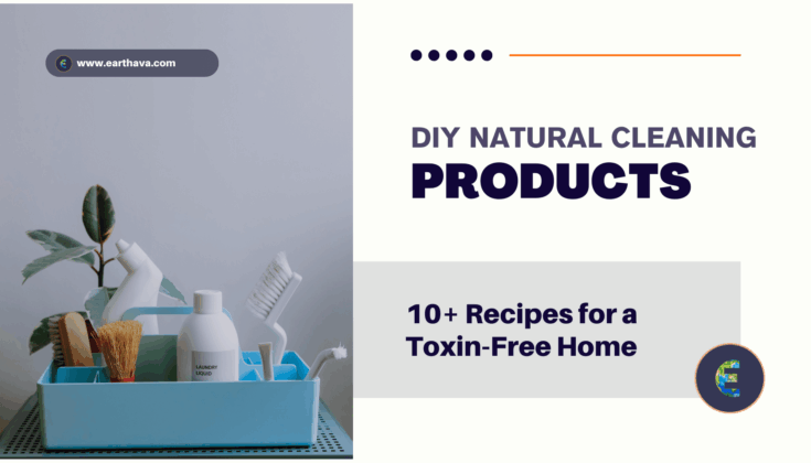 DIY Natural Cleaning Products: 10+ Recipes for a Toxin-Free Home - Earthava