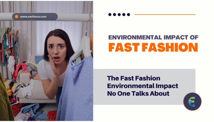 Fast Fashion Environmental Impact: The Ugly Truth - Earthava