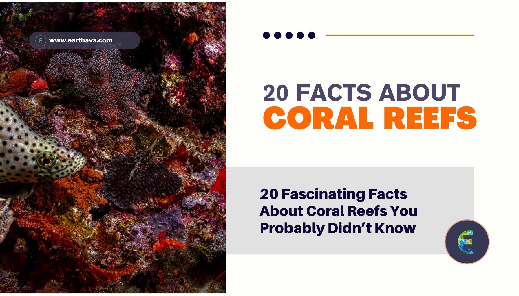 20 Fascinating Facts About Coral Reefs You Probably Didn’t Know - Earthava