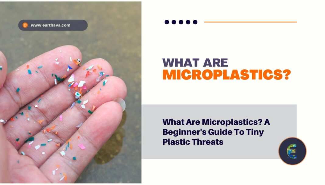 What Are Microplastics? A Beginner's Guide To Tiny Plastic Threats ...